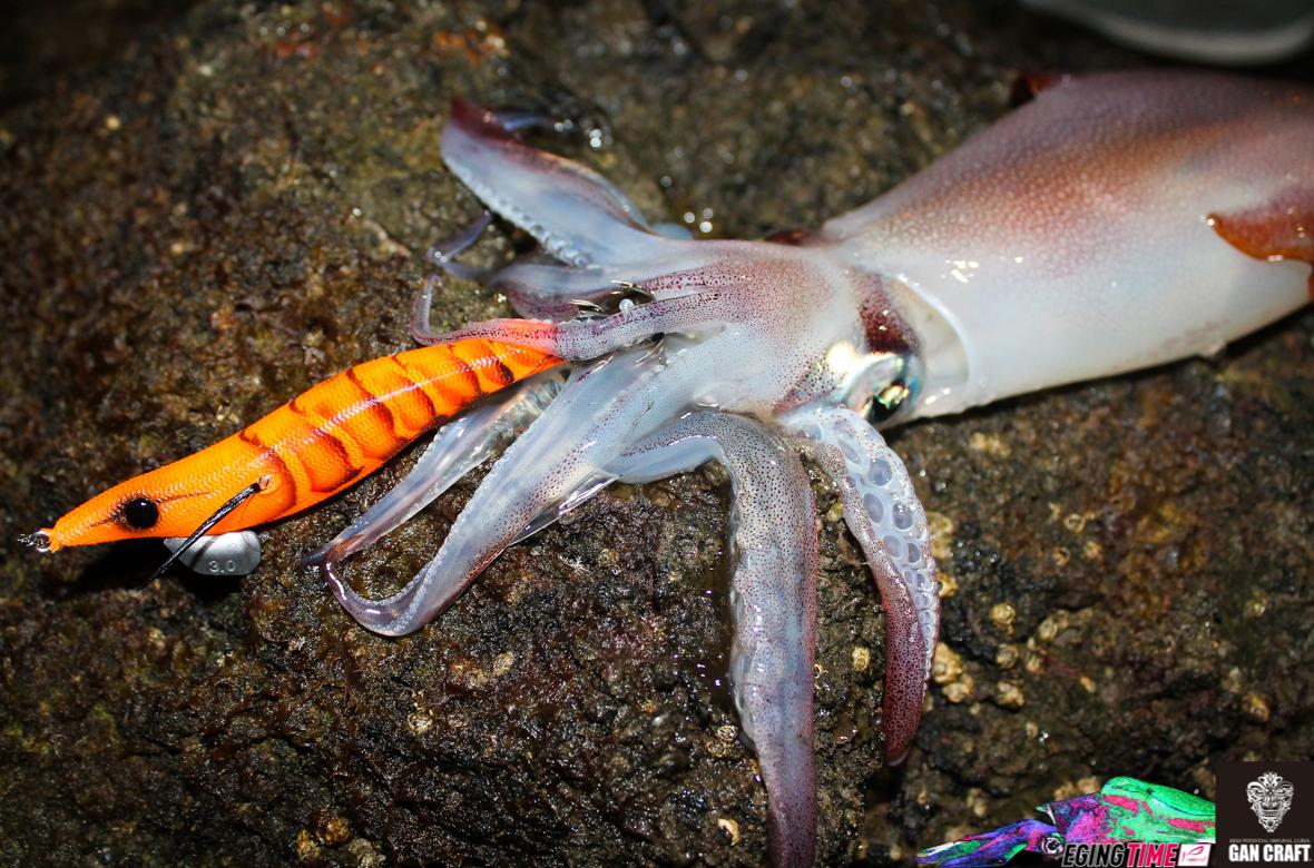 ️】Cómo hacer chipirones a la plancha - Kazoku Restaurante